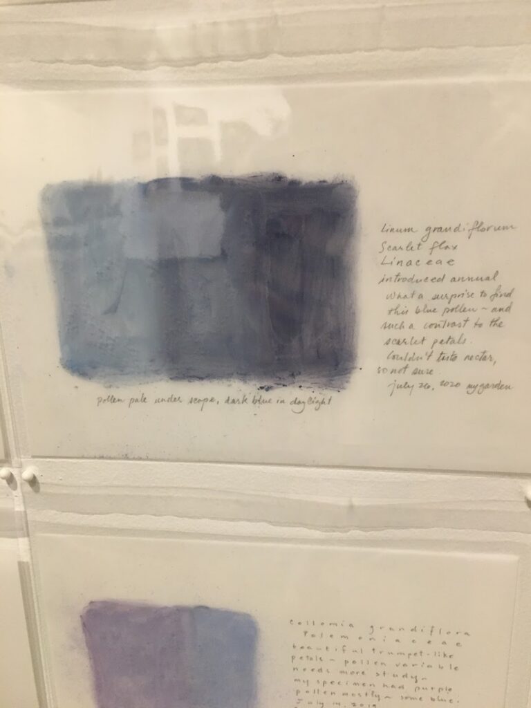 Top 10 Oregon Native Plants for Pollinators: Week 8 – Garden Ecology Lab