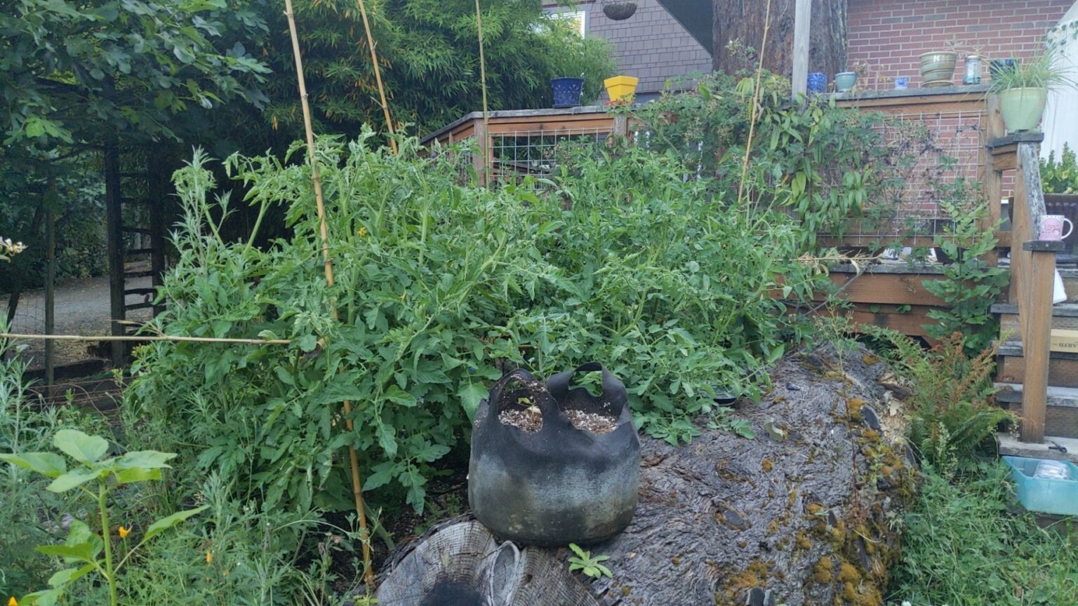 Garden Ecology Lab | Socio-ecological research in urban and suburban ...