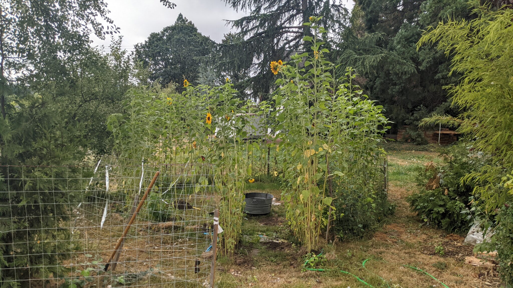 Garden Ecology Lab | Socio-ecological research in urban and suburban ...