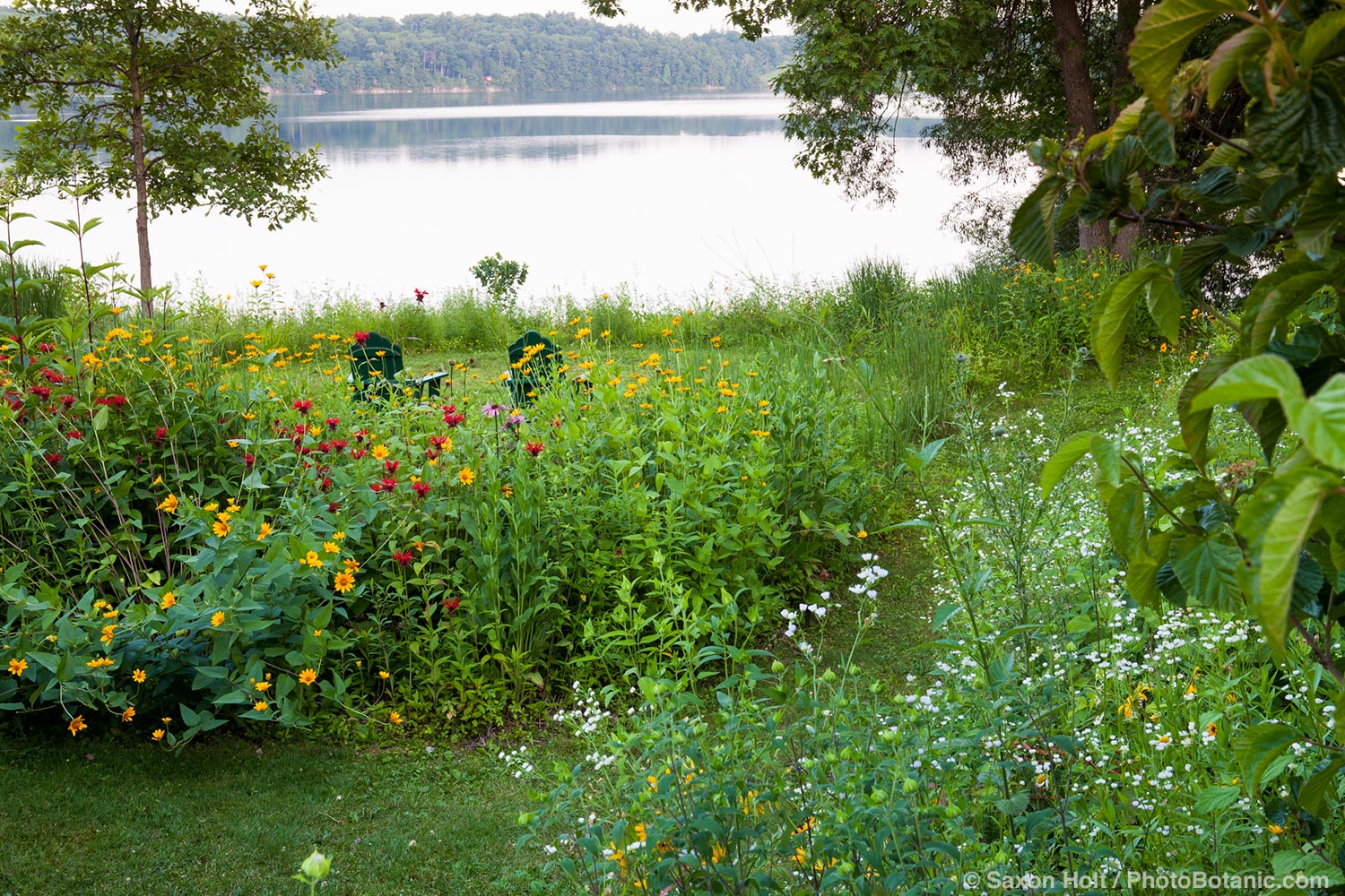 Garden Ecology Lab | Socio-ecological research in urban and suburban ...