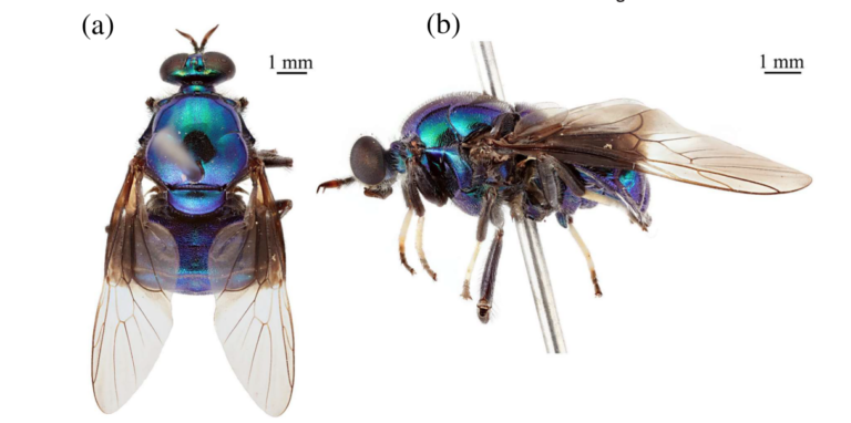 Garden Ecology Lab | Socio-ecological research in urban and suburban ...