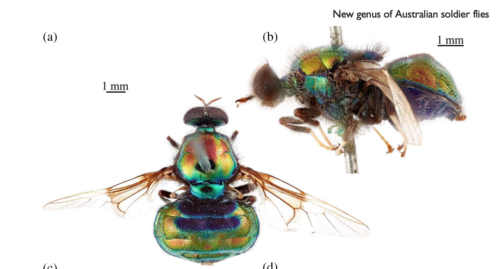 Garden Ecology Lab | Socio-ecological research in urban and suburban ...