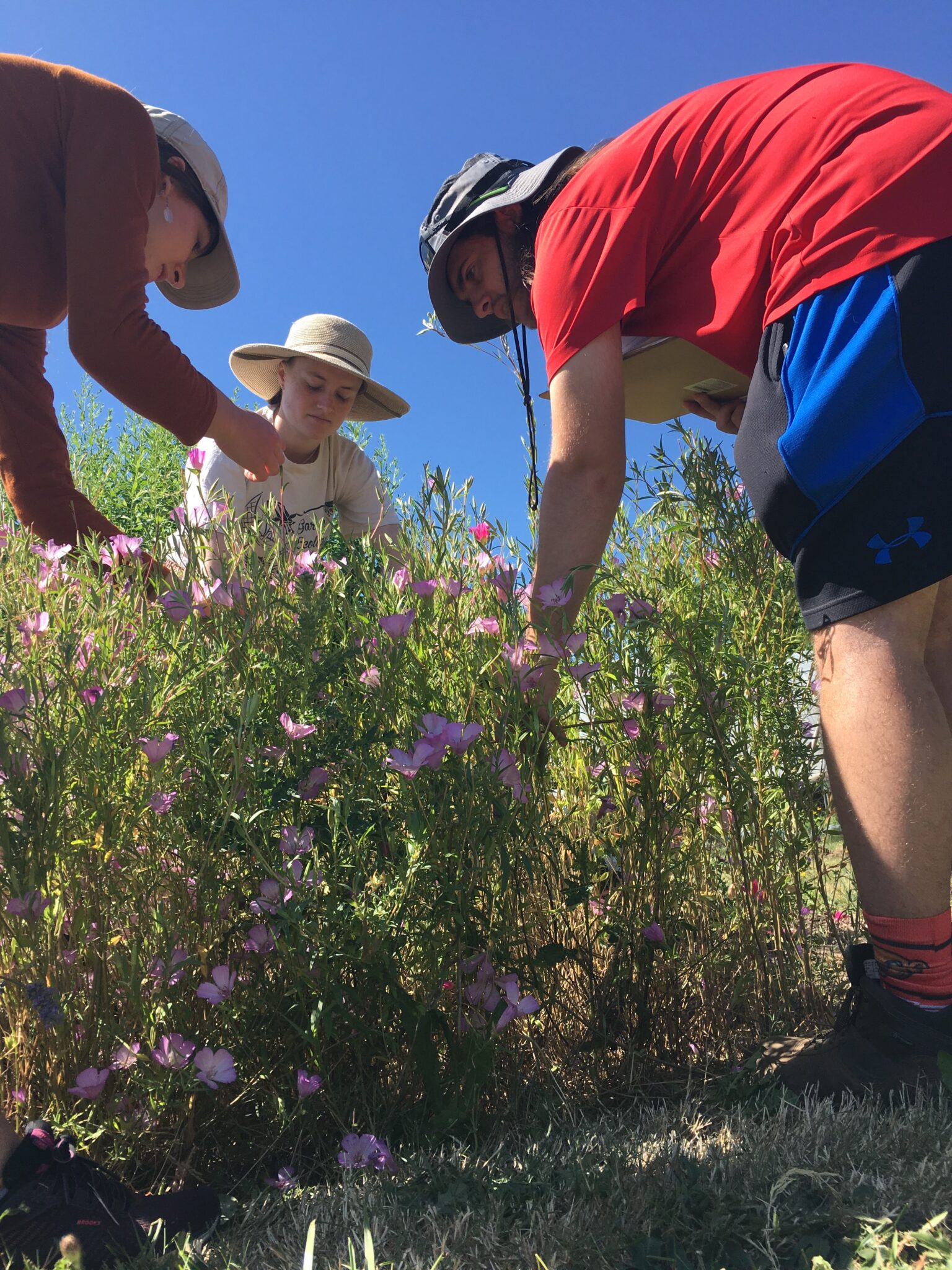 Garden Ecology Lab | Socio-ecological research in urban and suburban ...