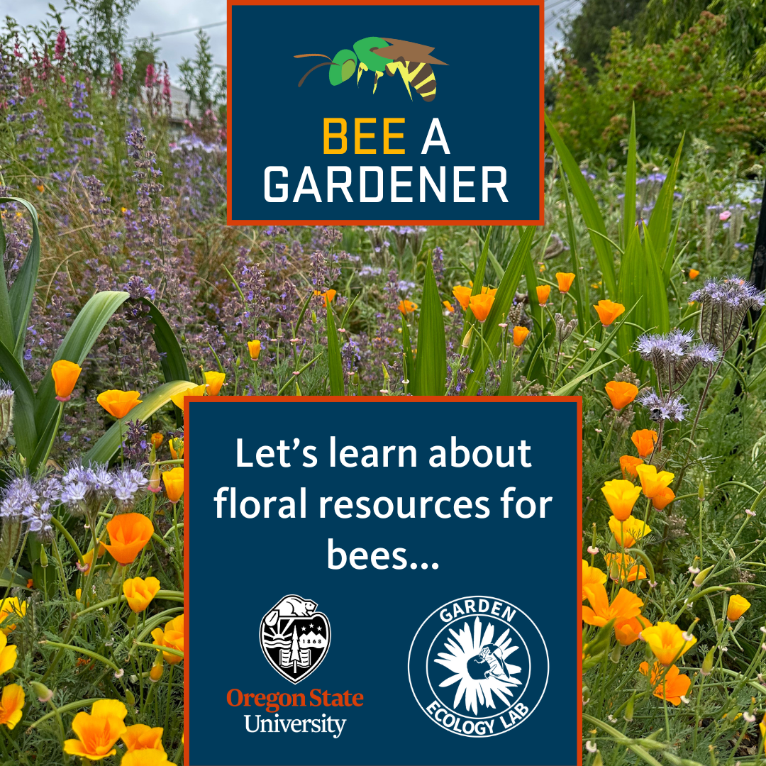 Garden Ecology Lab | Socio-ecological research in urban and suburban ...