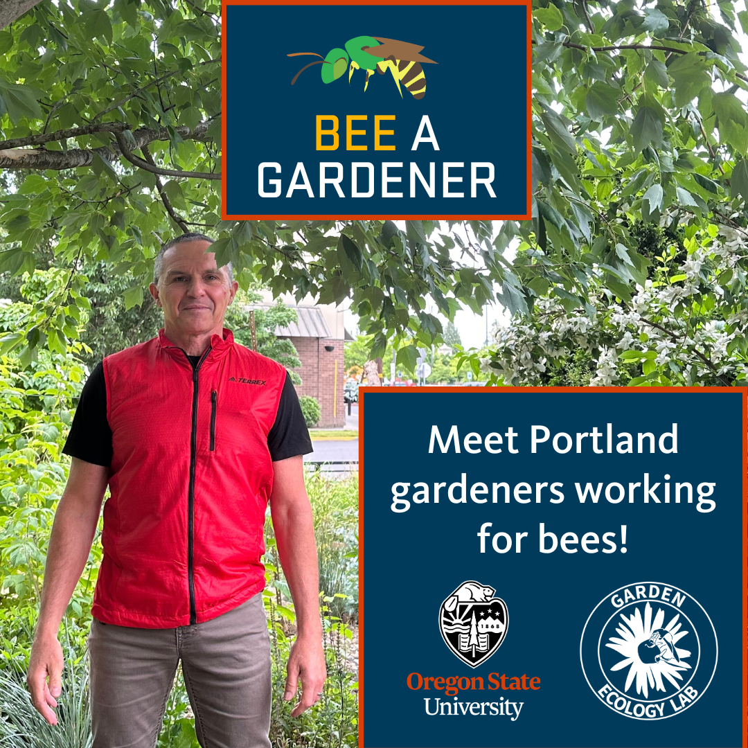 Behind the Scenes of the Portland Bee Guide! – Garden Ecology Lab