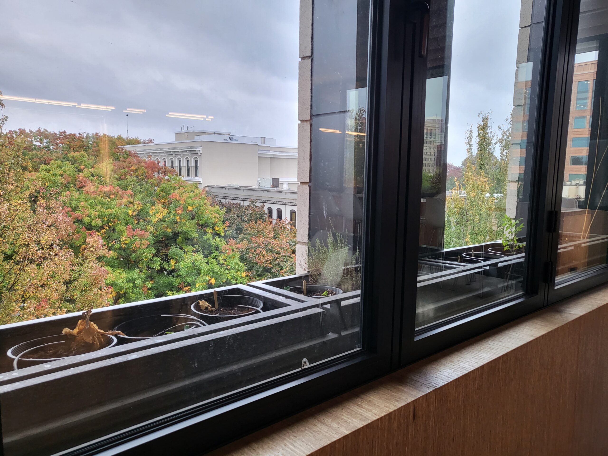 New Lab Member: Anna Perry | Garden Ecology Lab