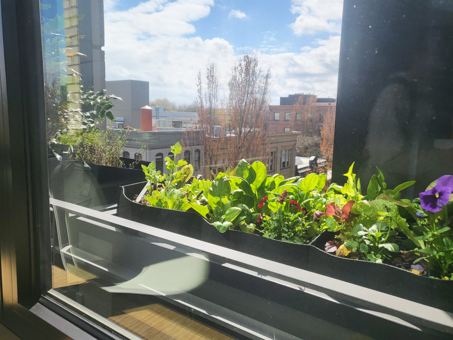 building integrated agriculture | Garden Ecology Lab