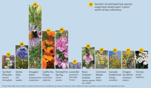Garden Ecology Lab | Socio-ecological research in urban and suburban ...