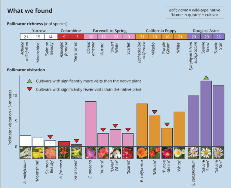 Garden Ecology Lab | Socio-ecological research in urban and suburban ...
