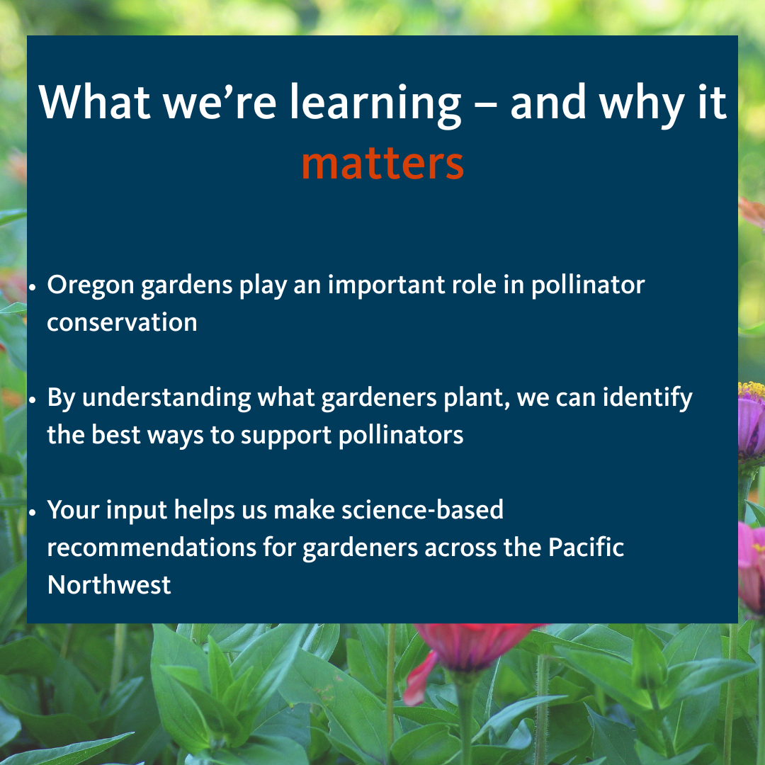 Garden Ecology Lab | Socio-ecological research in urban and suburban ...