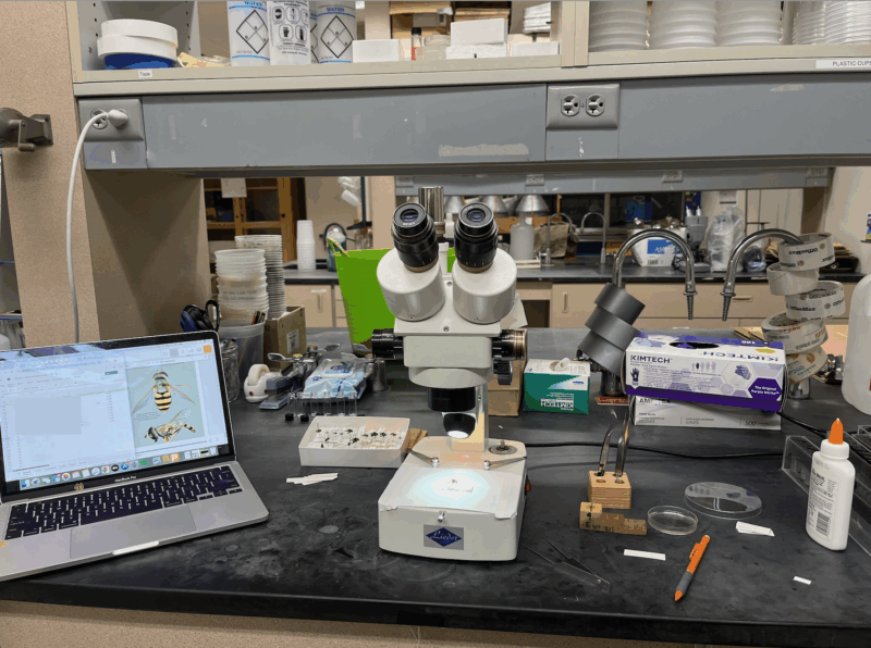 Garden Ecology Lab – Socio-ecological research in urban and suburban ...