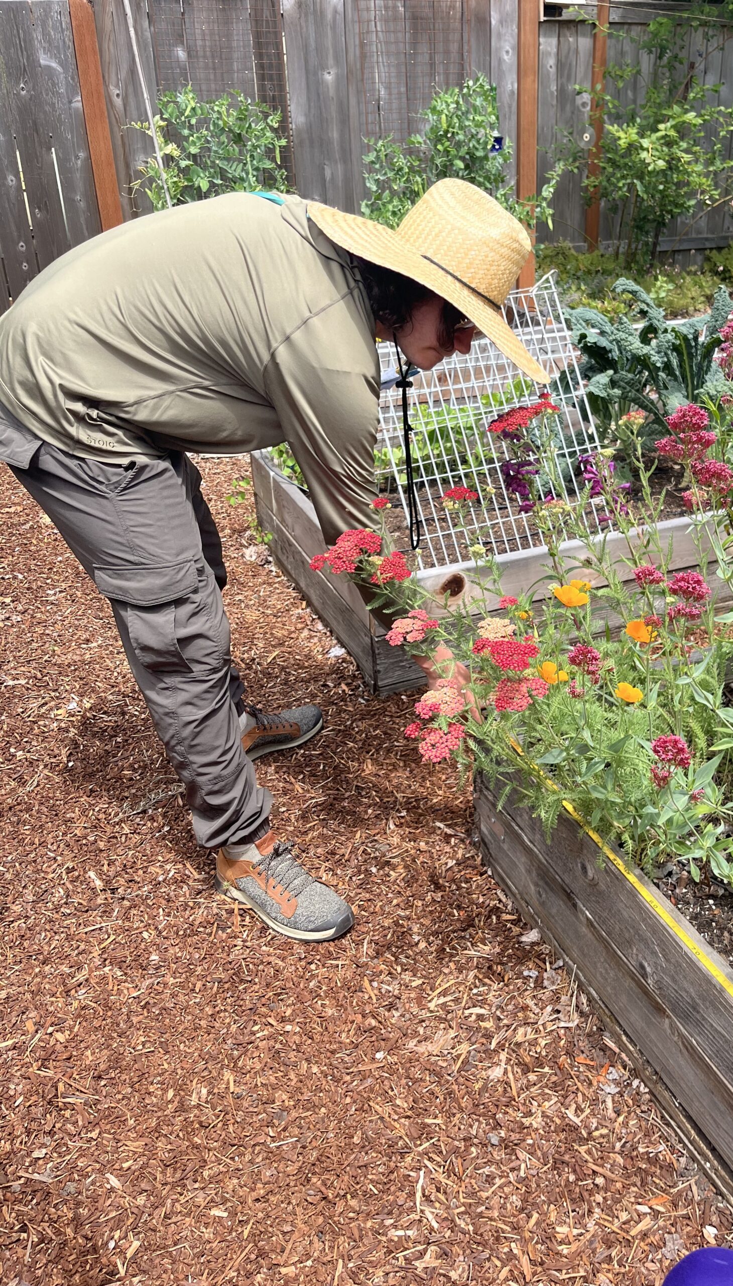 Science Behind the Scenes: Pacific Northwest Pollinator Gardens ...