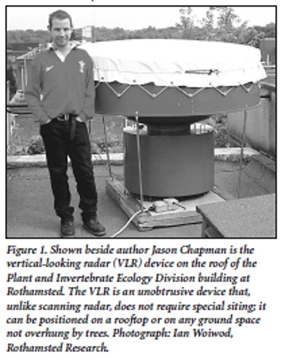 Insect Migration « VegNet