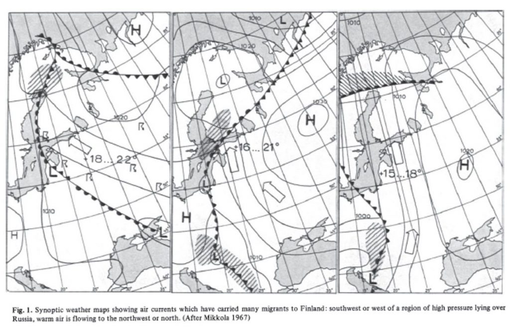 Insect Migration « VegNet