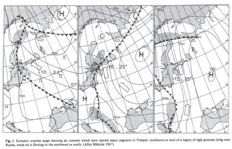 Insect Migration « VegNet