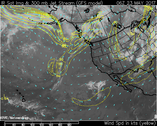 Insect Migration « VegNet