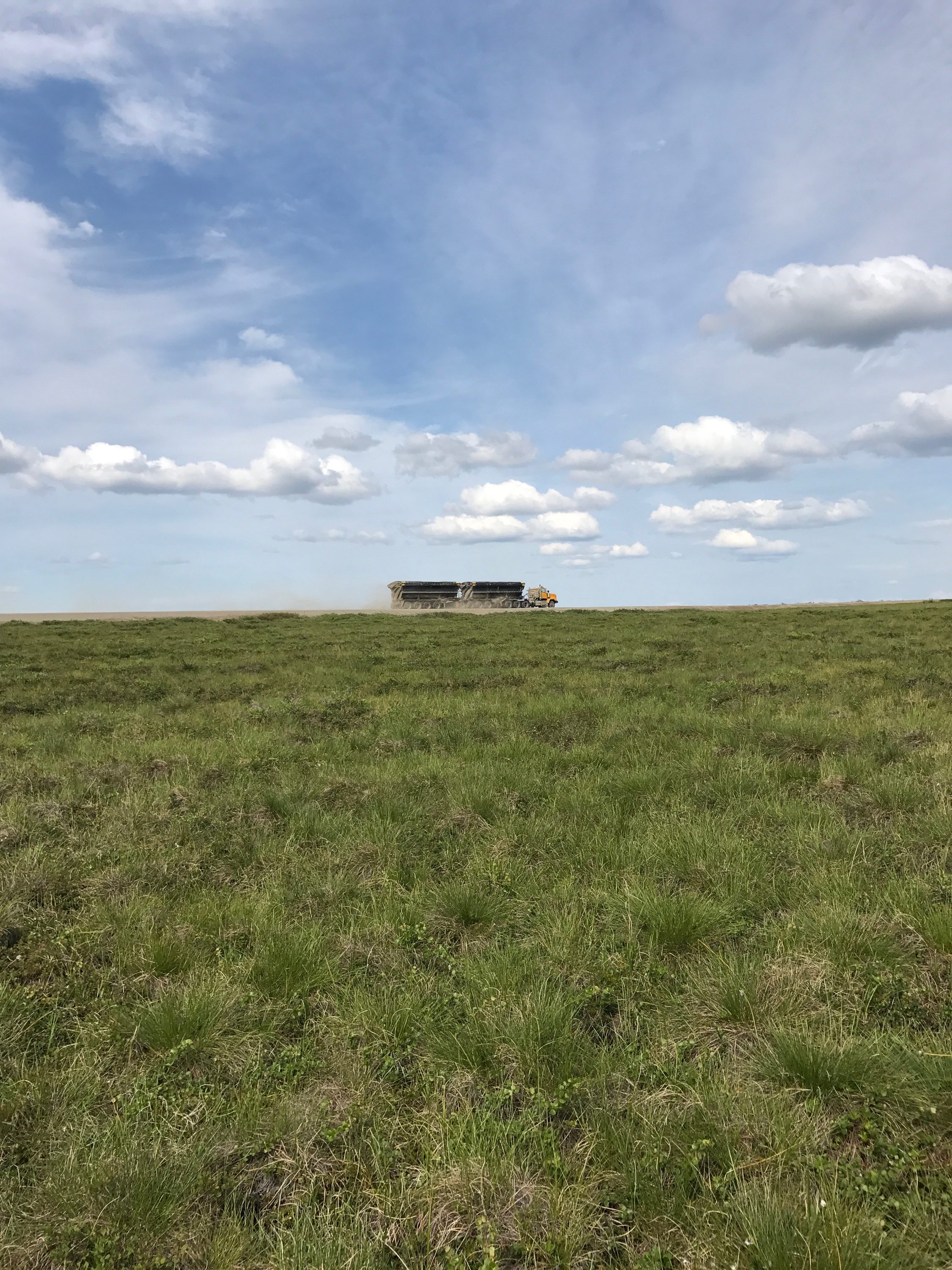 IMG_1112 – Shiel Lab Field Notes