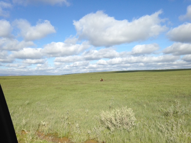 IMG_1825 – Shiel Lab Field Notes