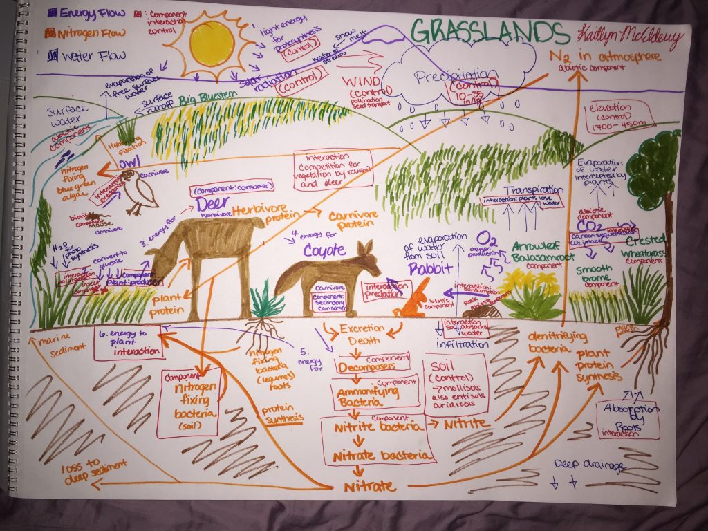 Rangeland Science and Ranching – Page 2 – Rangeland Recommended