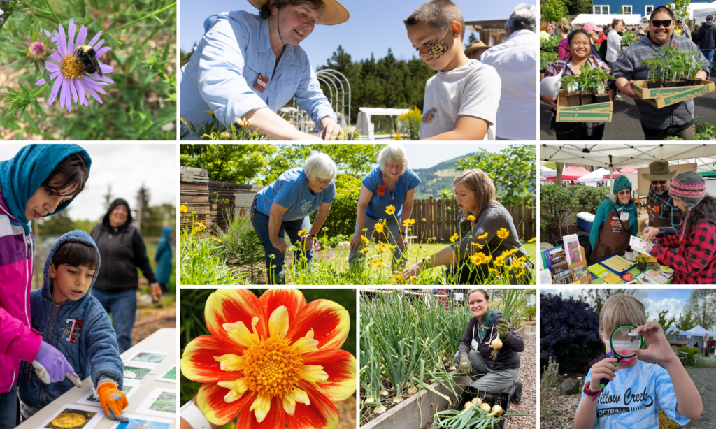 Gardening for the Future: Visiting the Discovery Garden in Roseburg ...