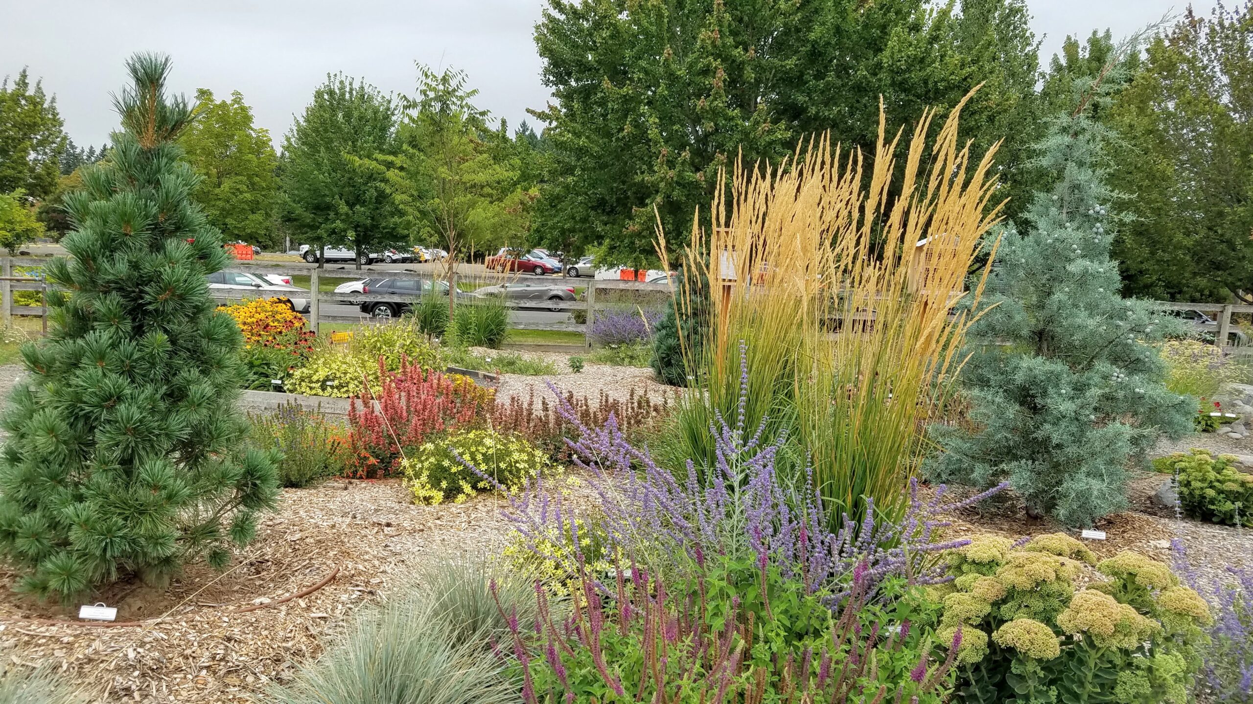 Gardening for the Future: Education Garden at Portland Community ...