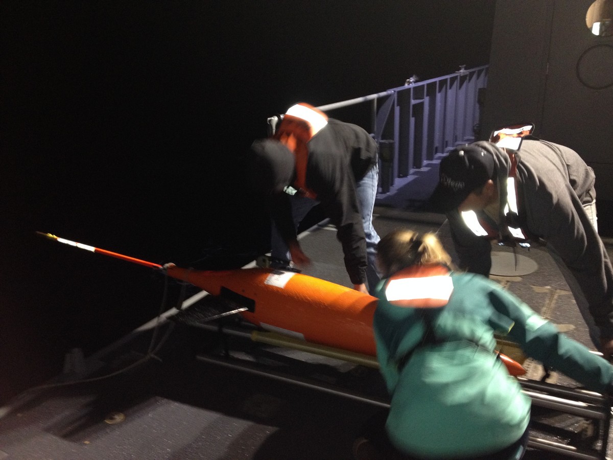 SeaGliderDeployDec21_1sml | Tracking elusive beaked whales by AUVs