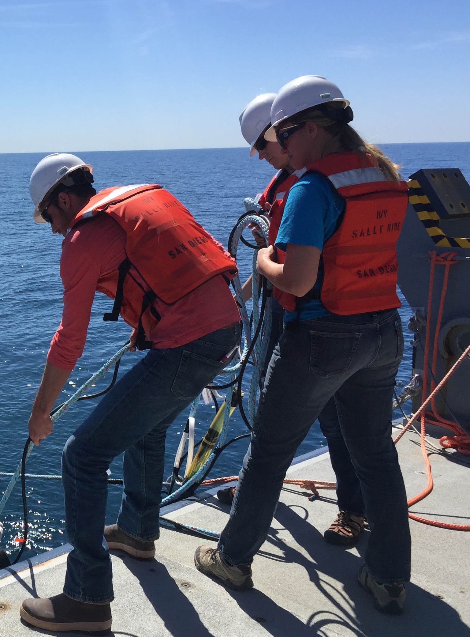 About us | Tracking elusive beaked whales by AUVs