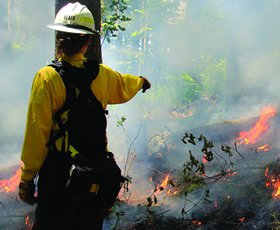 Educating the public on wildfire « College of Forestry