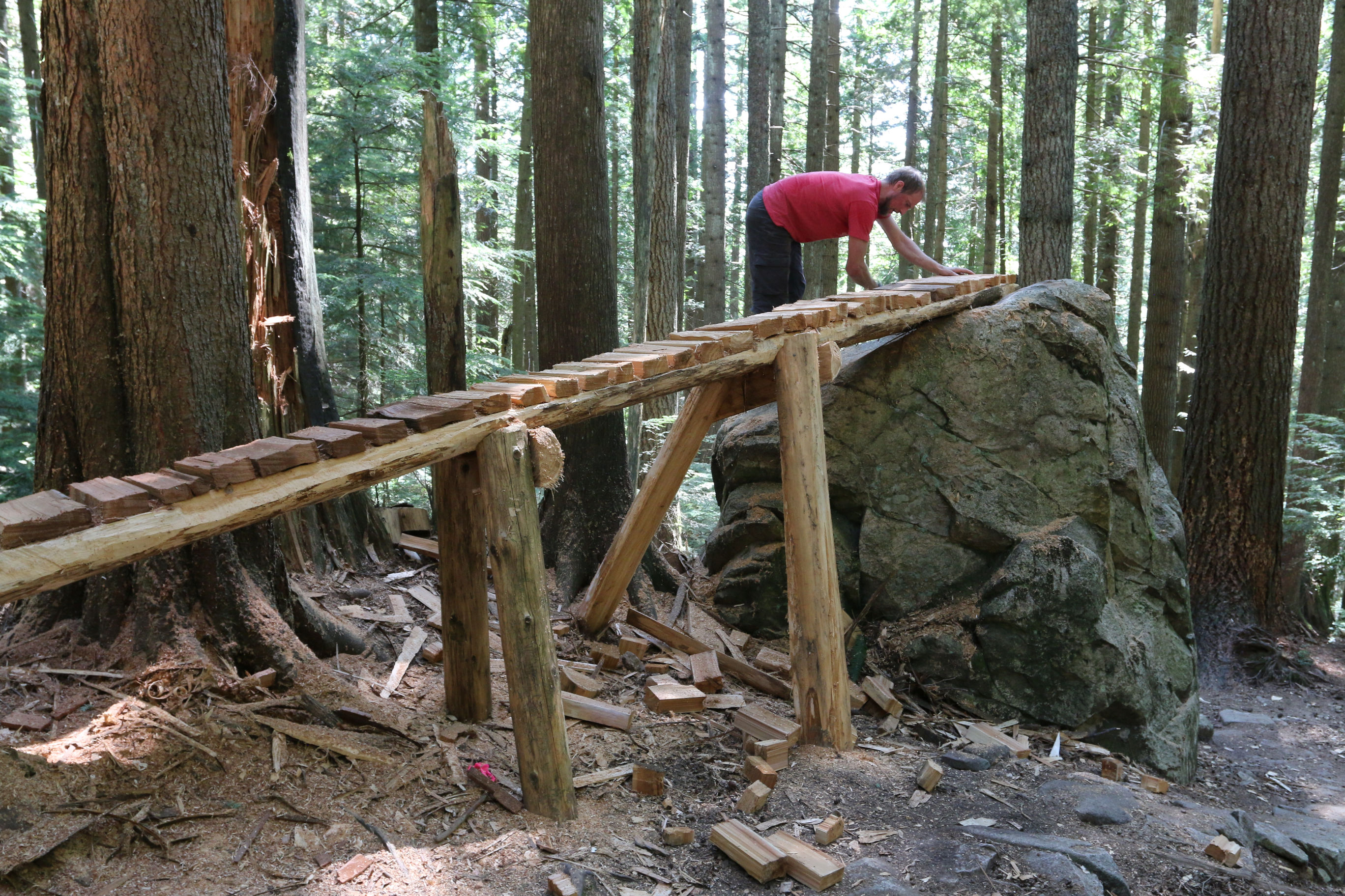 UOC-woodwork « College of Forestry