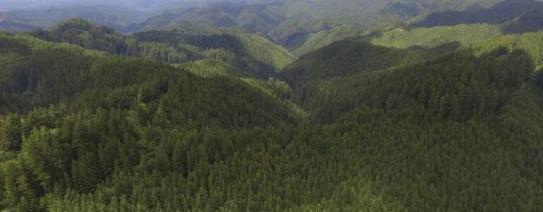Exploring an Elliott State Research Forest « College of Forestry