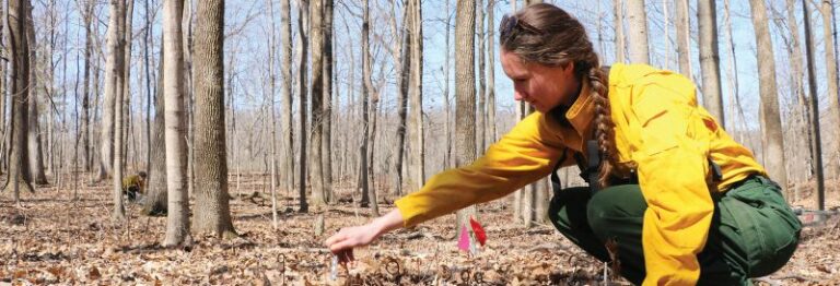 Centering Indigenous fire stewardship « College of Forestry