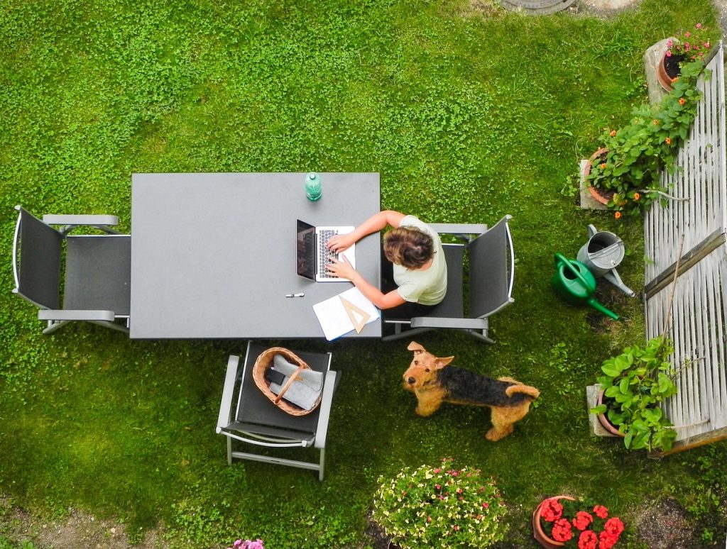 Start your garden with these five resources you can access from home ...