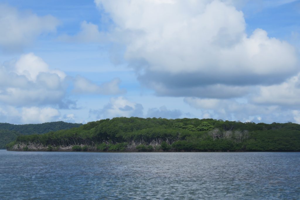 Day 9: Airai Protected Area and Biota Aquaculture – FW 391: Ridge to ...