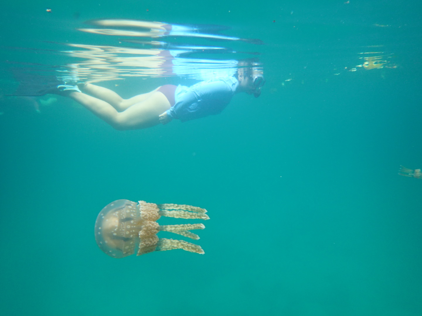 Day 13: Kayaking Risong Bay with Rock Islands Kayak Expeditions – FW ...