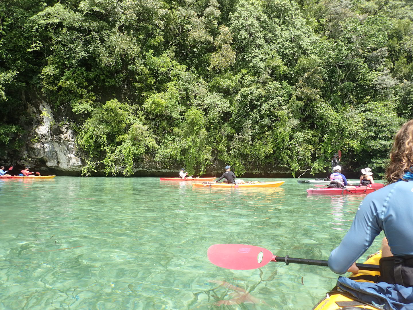 Day 13: Kayaking Risong Bay with Rock Islands Kayak Expeditions – FW ...