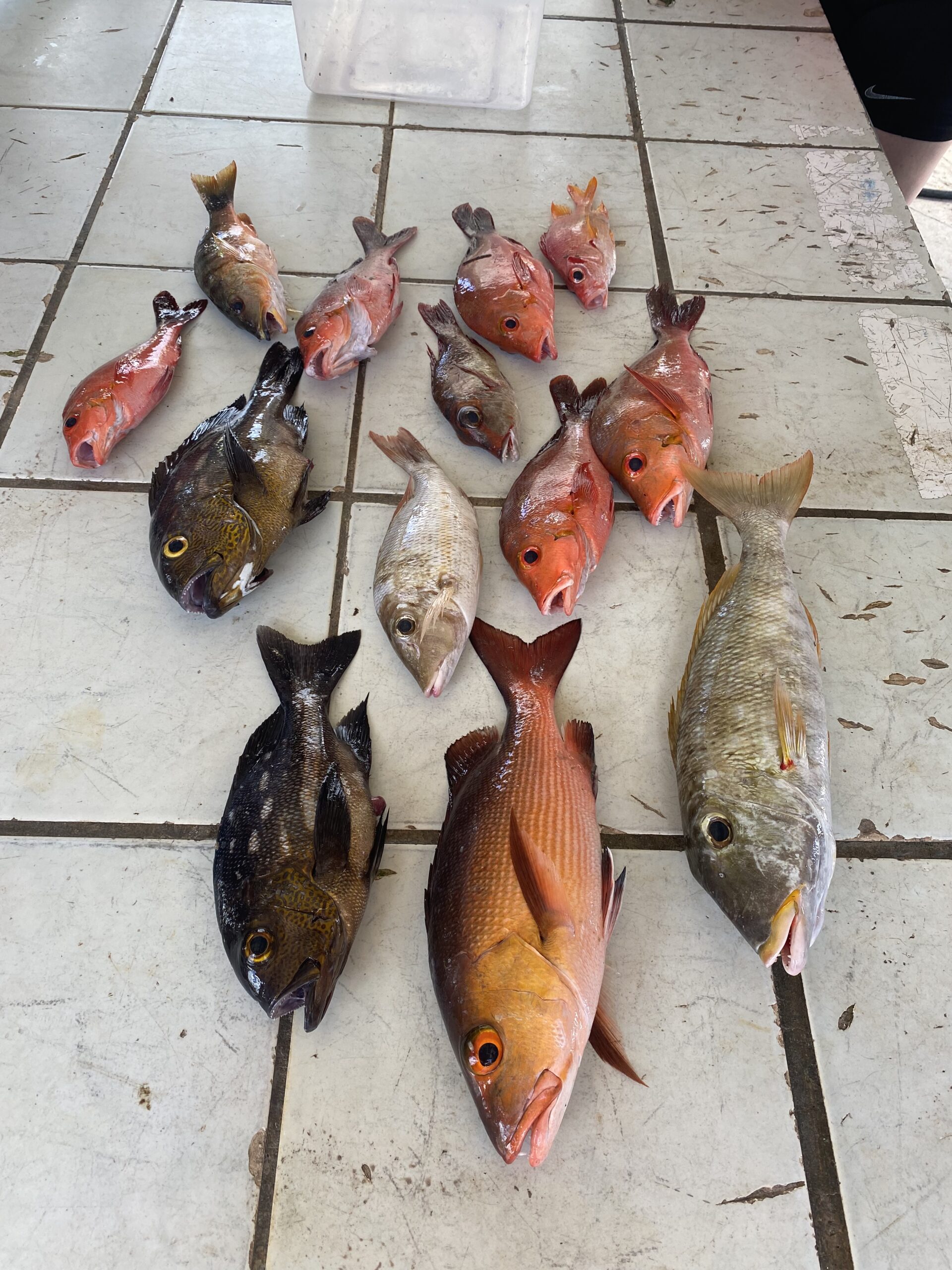 Day 3 – Catch, Harvest, and Cook – FW 391: Ridge to Reef: Sustainable ...