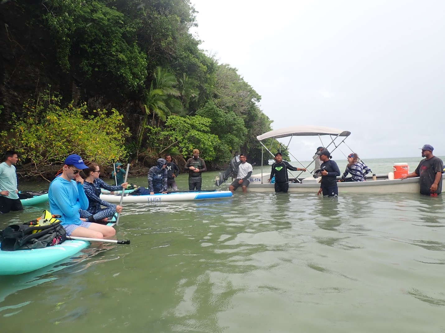 Day 5: Mangrove Ecosystems and Clam Planting – FW 391: Ridge to Reef ...