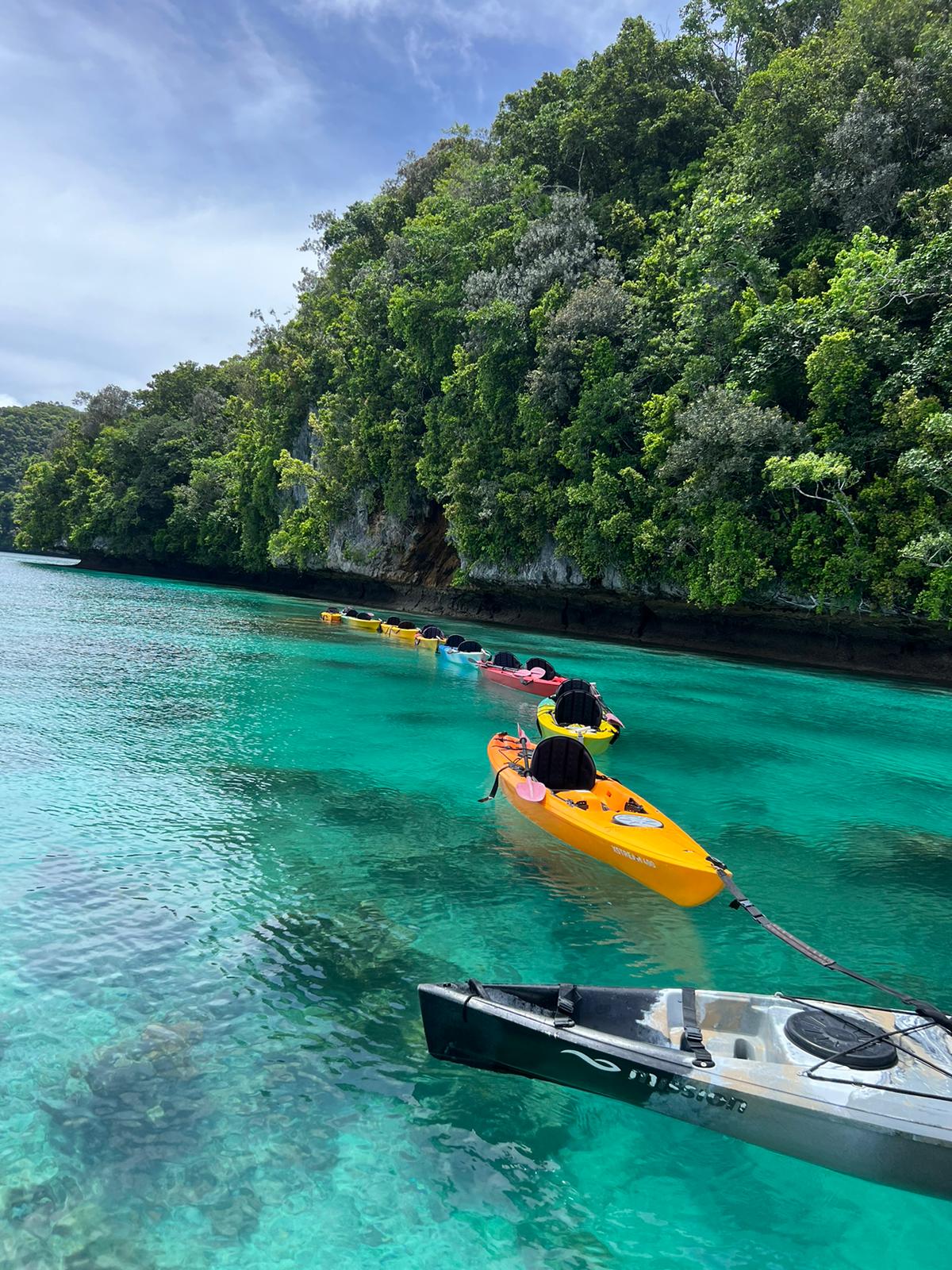 FW 391: Ridge to Reef: Sustainable Management in Palau