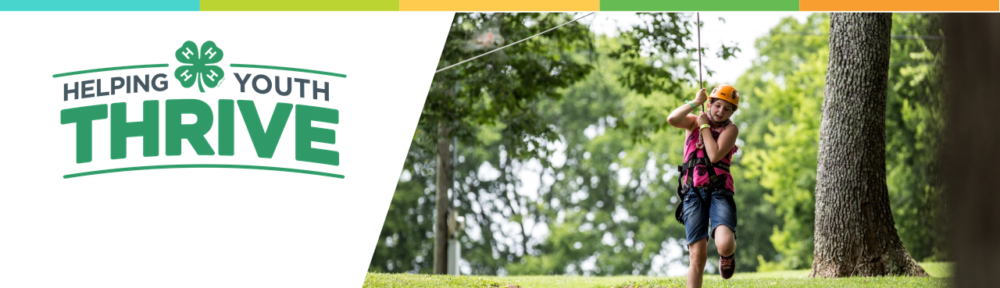 On Grit and Goals | Helping Youth ThriveHelping Youth Thrive