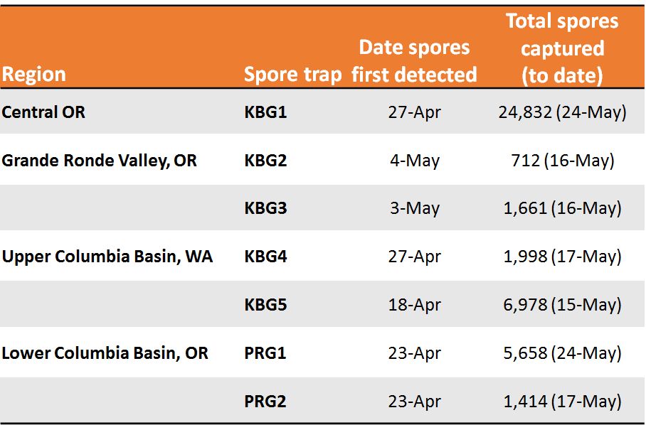 2018 Ergot Spore Trap UPDATE: May 31 « OSU-COAREC Plant Pathology