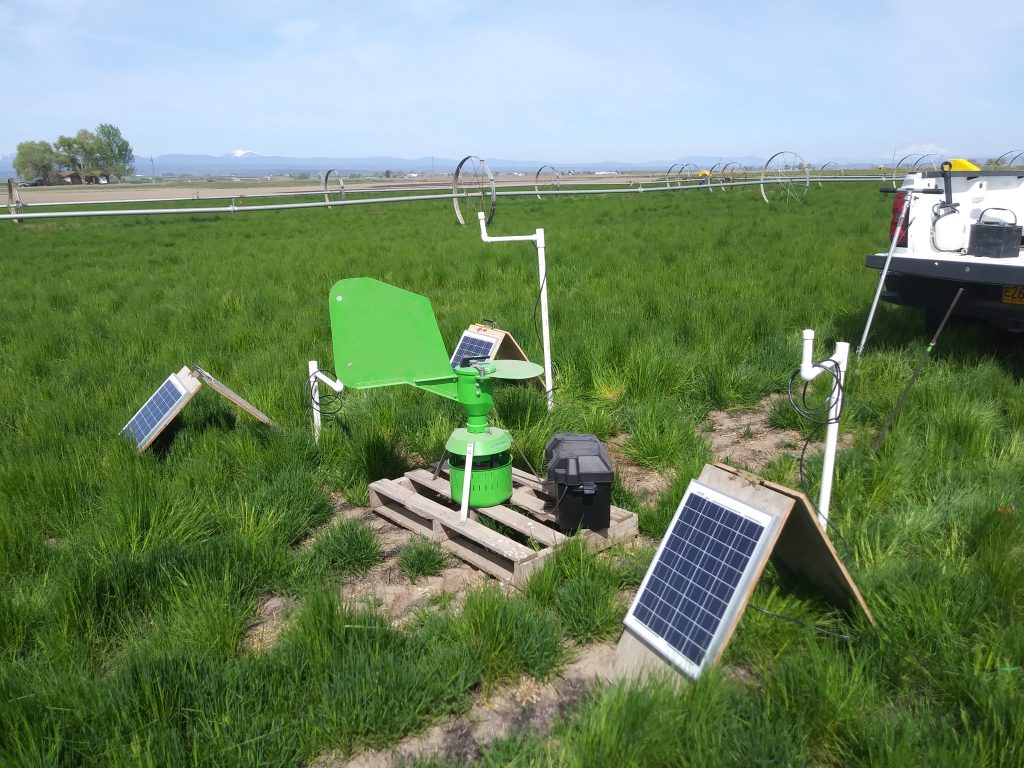 2019 Ergot Spore Trap UPDATE: May 23 « OSU-COAREC Plant Pathology