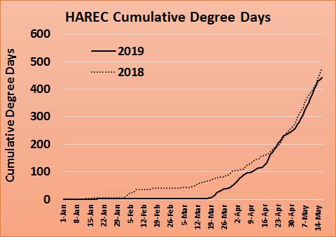 2019 Ergot Spore Trap UPDATE: May 17 « OSU-COAREC Plant Pathology