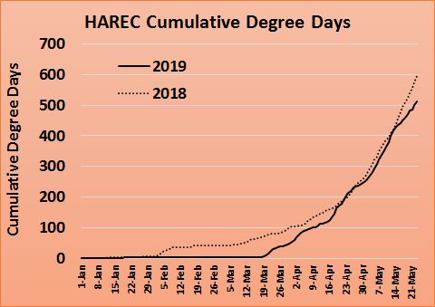 2019 HAREC Spore Trap UPDATE: May 24 « OSU-COAREC Plant Pathology