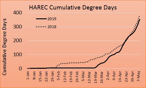 2019 Ergot Spore Trap UPDATE: May 10 « OSU-COAREC Plant Pathology