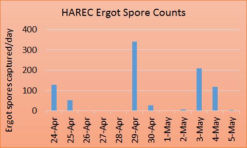 2019 Ergot Spore Trap UPDATE: May 10 « OSU-COAREC Plant Pathology