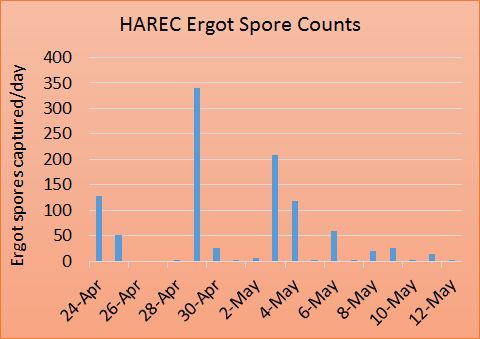2019 Ergot Spore Trap UPDATE: May 17 « OSU-COAREC Plant Pathology