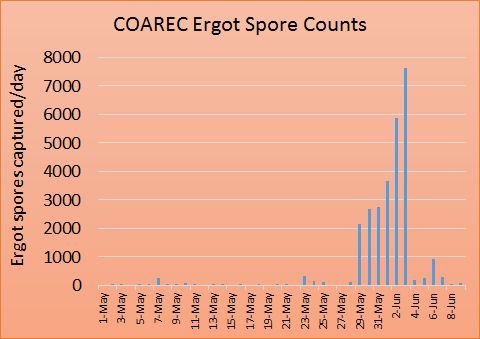 2019 Spore Trap UPDATE: June 20 « OSU-COAREC Plant Pathology