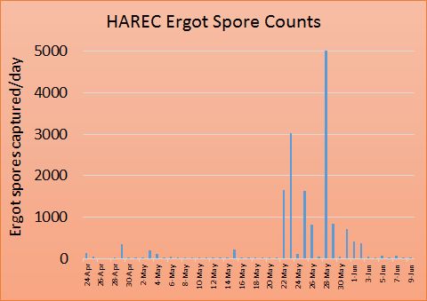 2019 Spore Trap UPDATE: June 20 « OSU-COAREC Plant Pathology