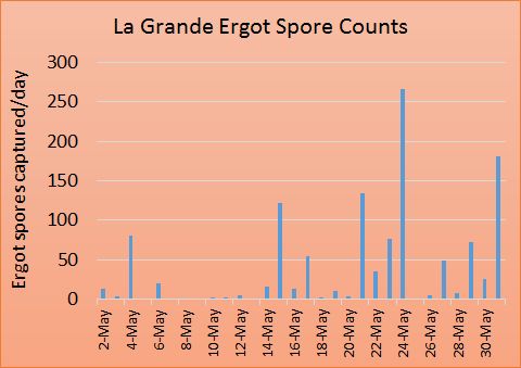 2019 Spore Trap UPDATE: June 7 « OSU-COAREC Plant Pathology