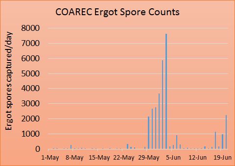 2019 Spore Trap UPDATE: July 1 « OSU-COAREC Plant Pathology